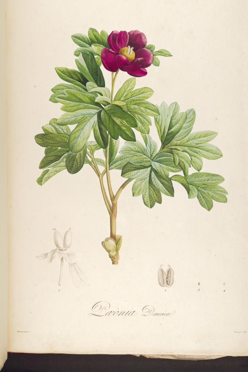 Anderson see the reference of Baker below